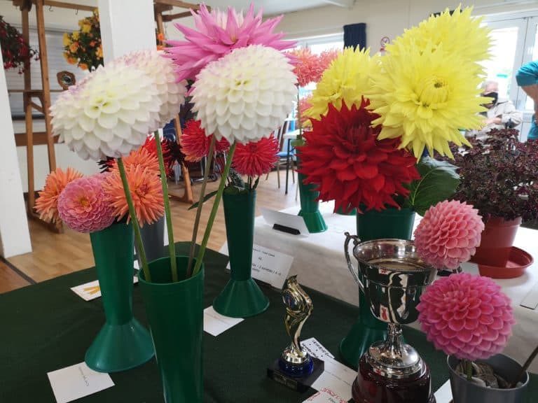 LOCAL CLUBS, GROUPS AND ORGANISATIONS - Flitwick Town Council